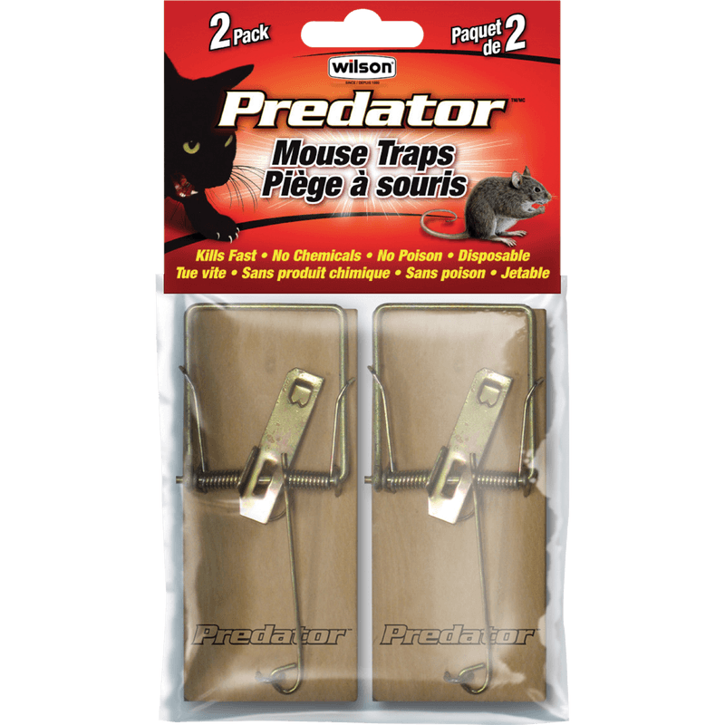 Wilson Predator Wood Trap