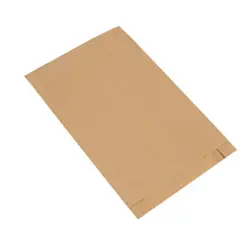 Carter Paper and Packaging - Carter 12 X 3 X 18" PLAIN PAPER BAG, NO ...