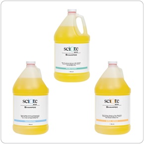 Ready Care - Bulk Shampoo