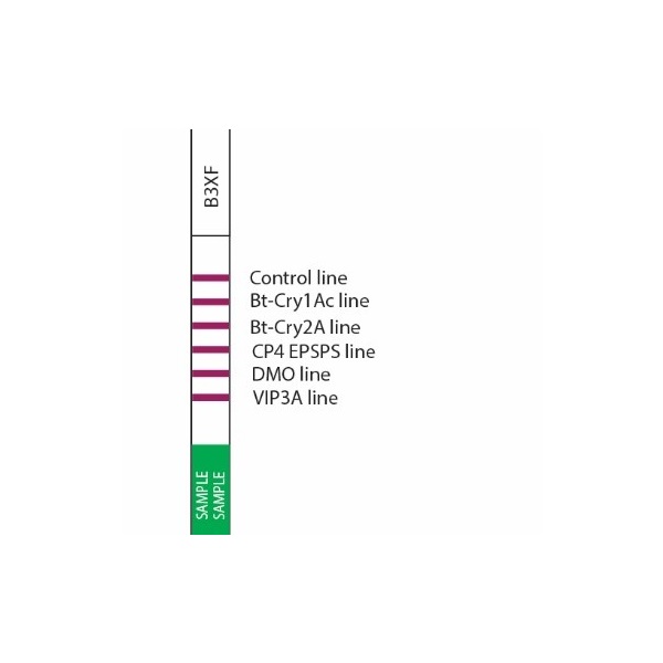 Agdia - ImmunoStrip® for Vip3A, DMO, CP4 EPSPS, Bt-Cry2Ab, and Bt-Cry1Ac