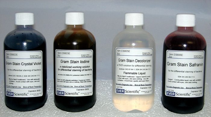 Gram Stain Kit - Flip Top Caps | Weber Scientific