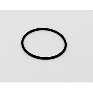 HYDROQUIP - Sundance/Jacuzzi Diverter Gate O-Ring 6540-550