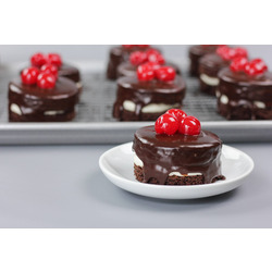 Extra Large Nonstick Baking Pan with Rack - USA Pan