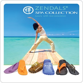 Ready Care - Zendals Products