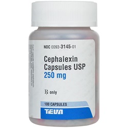 Cephalexin - Ophthalmic Antibiotics