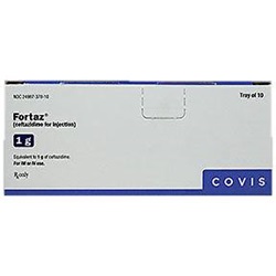 Fortaz Injectable 1gm - 10 Vials