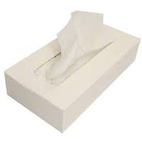 Beshet Supply - Facial Tissue 100 Ct Flat Box
