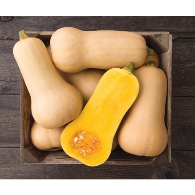 Waltham Butternut (Organic)