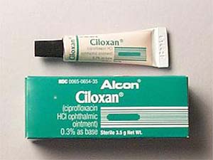 Ciloxan Ointment 0.3%, 3.5gm - Ophthalmic Antibiotics