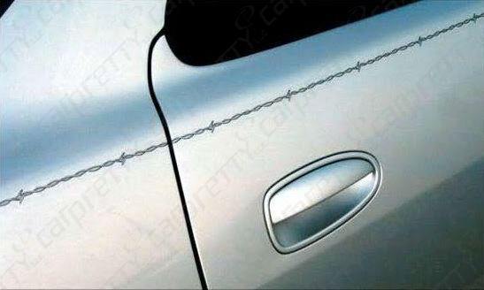 Car Pretty LLC - Barbed Wire Pinstripe