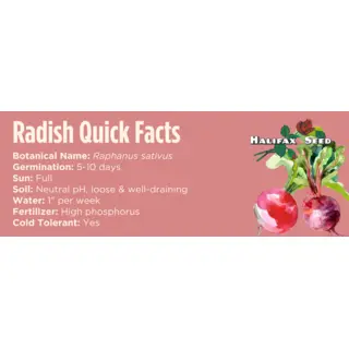Halifax Seed Company - How to Grow Radishes