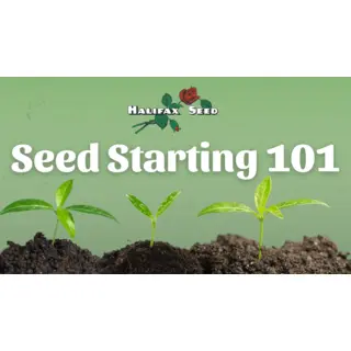 Halifax Seed Company - How To Start Seeds