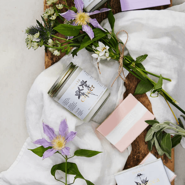 Halifax Seed Company - Home