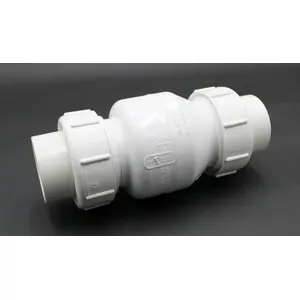 HYDROQUIP - Flo-Control 2" Swing Check Valve 1720-20