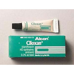 Ciloxan Ointment 0.3%, 3.5gm - Ophthalmic Antibiotics