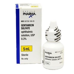 Gentamicin - Ophthalmic Antibiotics