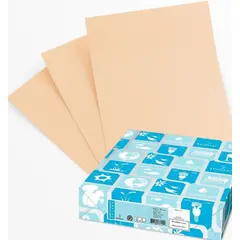 Carter Paper and Packaging - Carter 8.5 X 11 20 LB TAN DOMTAR ...