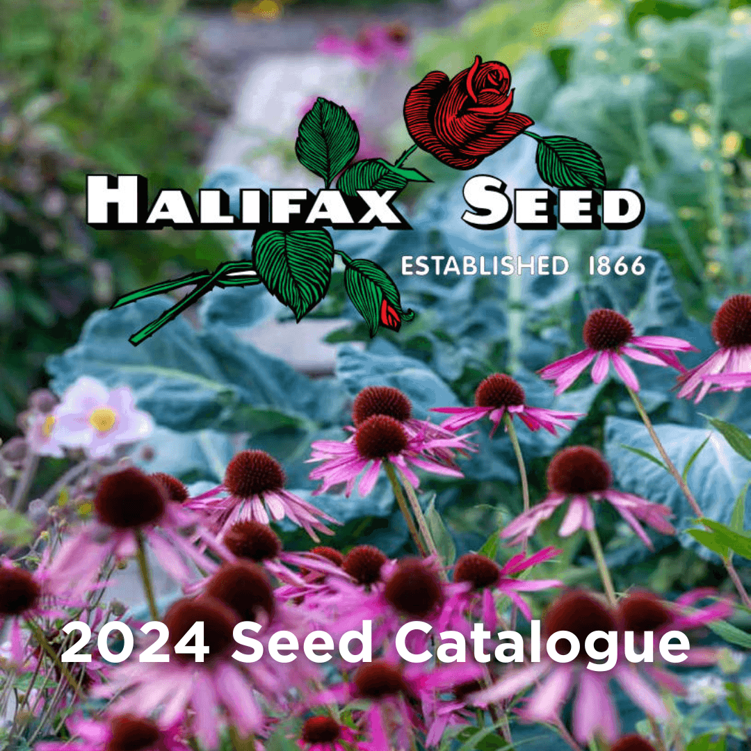 Halifax Seed Company - Home