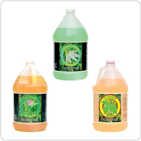 Ready Care - Bulk Shampoo