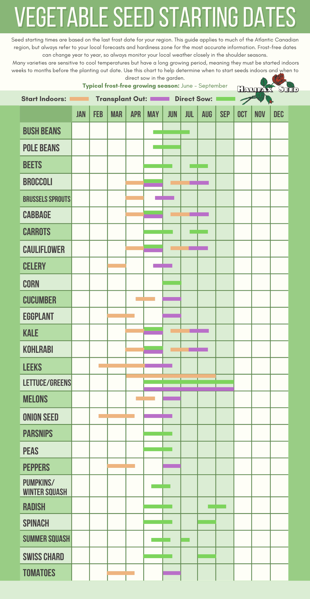 Halifax Seed Company Seed Starting Dates Halifax Seed Company Seed Starting Dates