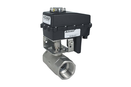 CCI - KZ Ball Valves