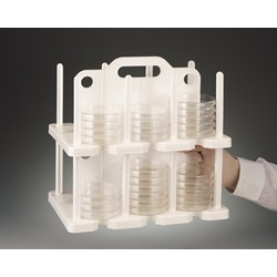 Petri Dish Handled Rack - Petri Dishes | Weber Scientific