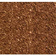 Halifax Seed - Salt Stopper