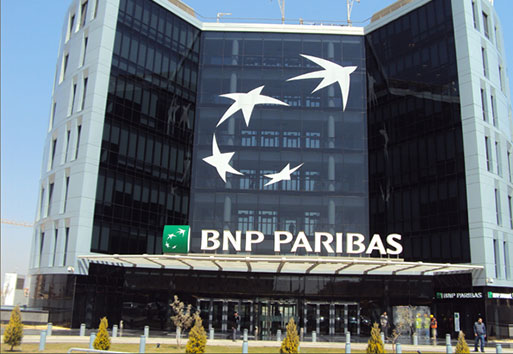 BNP Paribas Bank Project | Nystrom