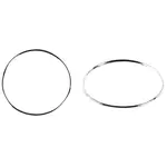 Flieringa Scleral Fixation Ring