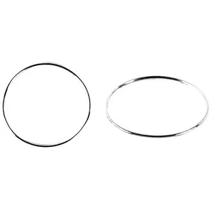 Flieringa Scleral Fixation Ring