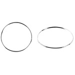 Flieringa Scleral Fixation Ring