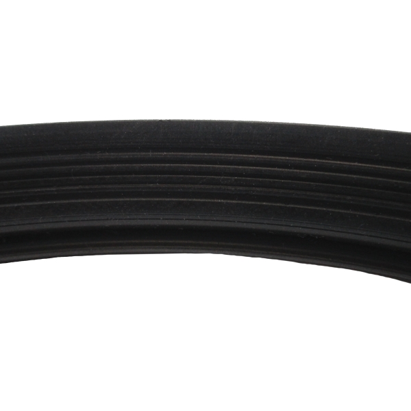 Steele Rubber Products - Quarter window weatherstrip